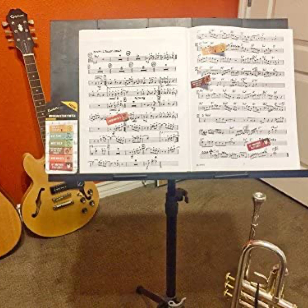 Sarcastic Musician Sticky Notes — Rise8Studios